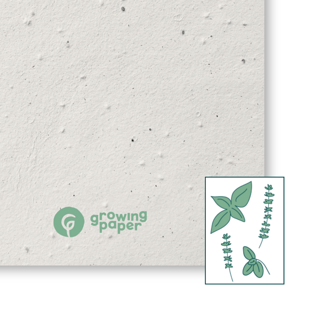 250 g / m² seed paper with herb seeds - Growingpaper